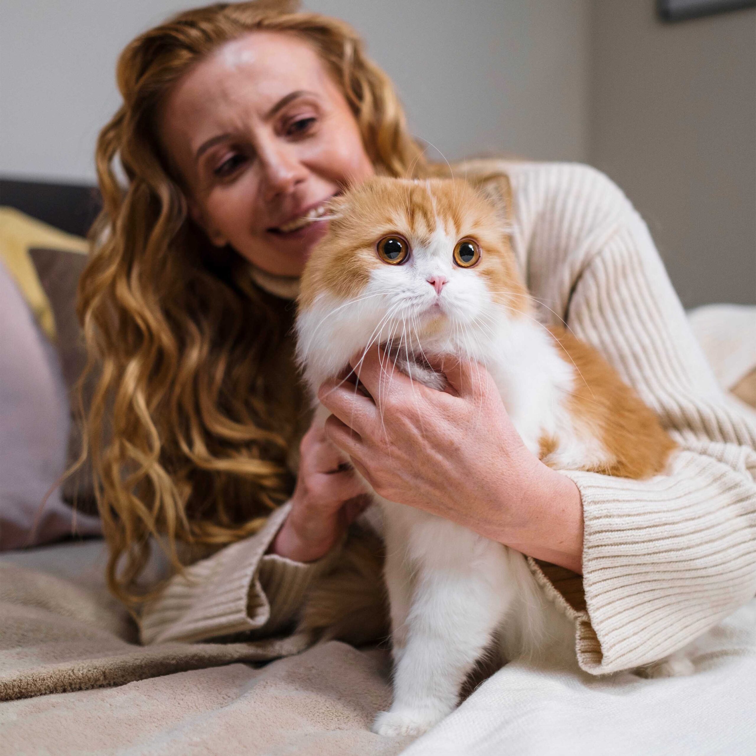 Cats are on the rise - PureLUXE Pet Food | Natural, Healthy Food For ...